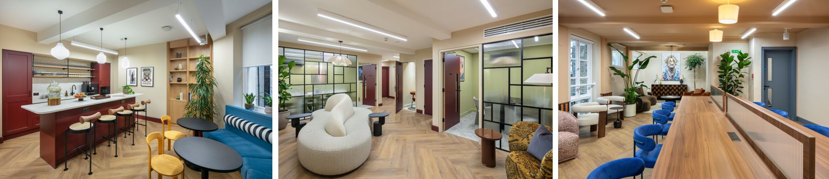 The Howard de Walden Estate - News - Elmtree